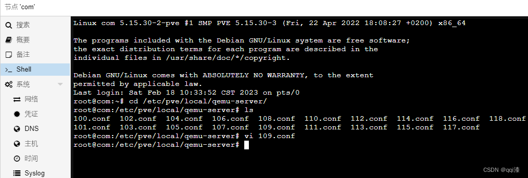 proxmox开启外置vnc_proxmox vnc-CSDN博客