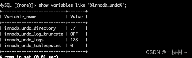 MySQL七种日志总结_mysql审计日志-CSDN博客
