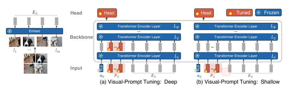 Visual Prompt Tuning_svp-t: a shape-level variable-position transformer ...