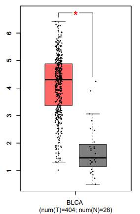分享分析TCGA的数据库——GEPIA（一）_gepia数据库-CSDN博客