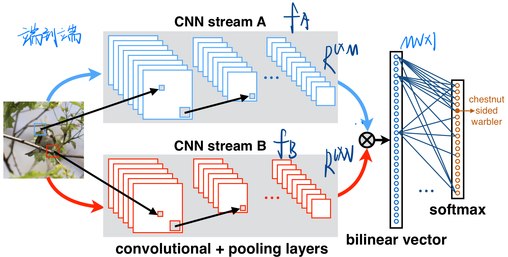 15-ICCV-Bilinear CNN Models for Fine-grained Visual Recognition-CSDN博客