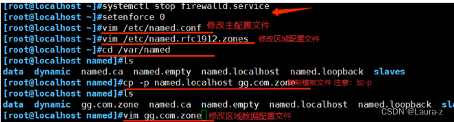 DNS之Bind配置命令_bind 编辑数据配置文件-CSDN博客