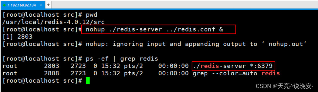 Spring boot（web 组件，ORM 操作 MySQL，接口架构风格—RESTful，集成 Redis，集成 Dubbo，打包）_restful redis mysql 架构-CSDN博客