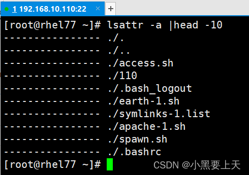 Linux命令(6)之lsattr-CSDN博客