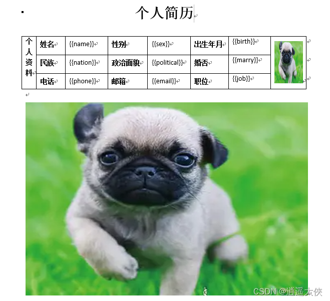 纯java后台生成带ECharts的PDF文档（phantomjs）_纯java后台生成echarts图片,并将图片生成到pdf文档-CSDN博客