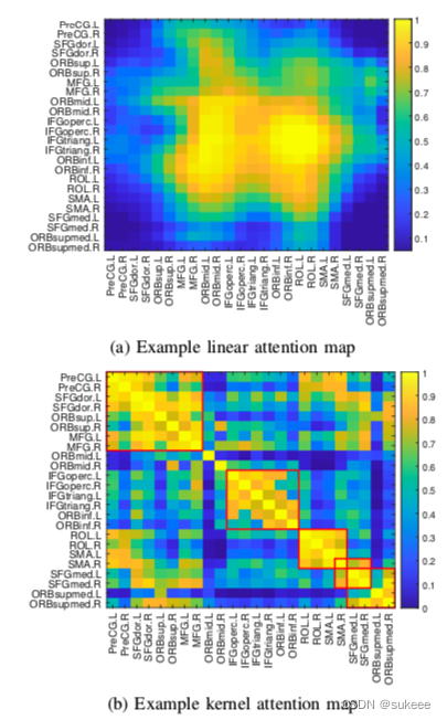 【论文简读】Diffusion Kernel Attention Network for Brain Disorder Classification用于脑疾病分类的扩散核注意力网络 ...