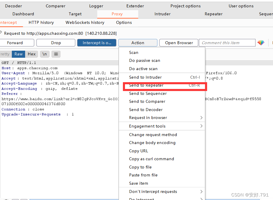 burpsuite抓包_burpsuite抓包无法上网-CSDN博客