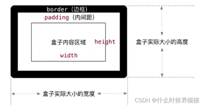 CSS自学Day5-盒子模型_padding: 1.0rem !important; border-bottom: 1px sol-CSDN博客