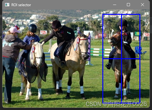 Inside-Outside-Guidance交互式分割算法代码--复现环境配置过程-CSDN博客
