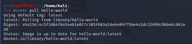 kali中docker拉取镜像_docker拉取kali镜像-CSDN博客