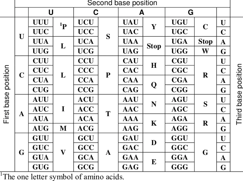 [生物信息学]分子生物学的核心法则_dna反向互补rna-CSDN博客
