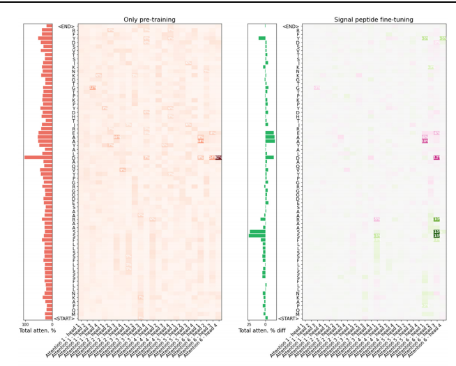 论文解读：ProteinBERT: a universal deep-learning model of protein sequence and function-CSDN博客