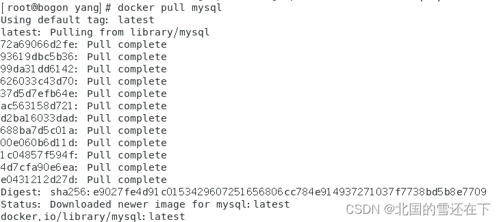docker镜像/容器的基本命令_在vms100上查看当前系统里有多少镜像-CSDN博客