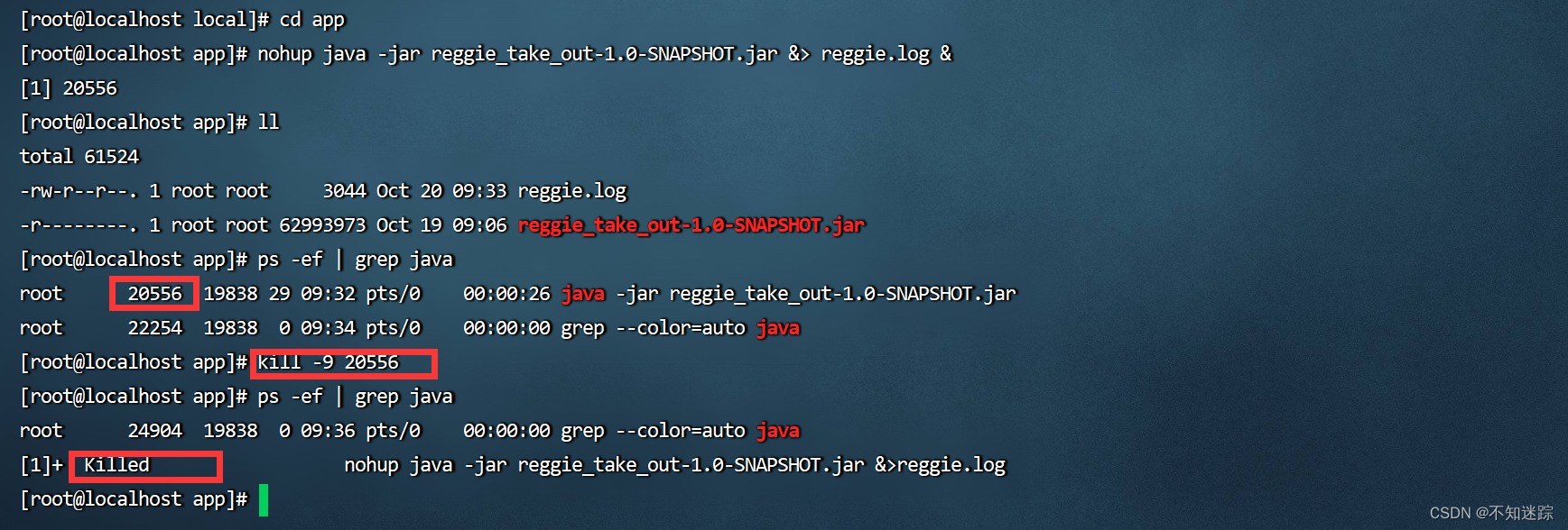 Linux常用命令操作及springboot项目的部署_纯命令行部署springboot-CSDN博客