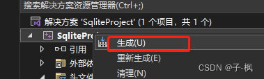 Win11下基于VS2022编译SQLite3源码_sqlite下载 win11-CSDN博客