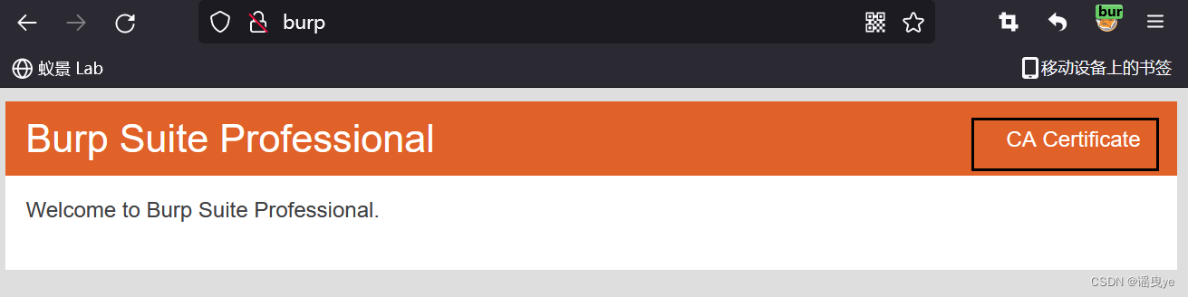 Burp Suite下载CA证书_burpsuite ca证书下载-CSDN博客