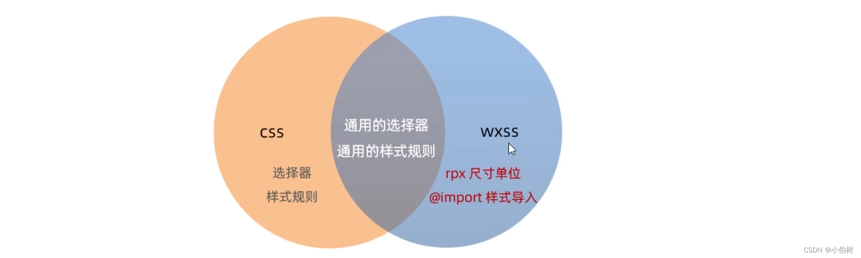 微信小程序-WXSS模版样式-CSDN博客