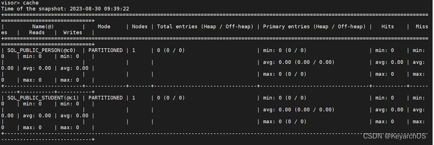 在KeyarchOS上安装和配置Apache Ignite：一种高性能的内存计算平台_apache ignite sql命令-CSDN博客