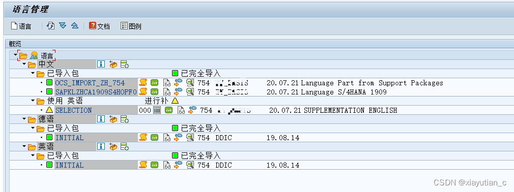 SAP系统安装语言_sap 系统语言安装-CSDN博客