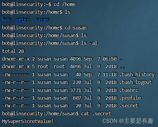 Linux suid 提权_linux c程序中suid提权-CSDN博客