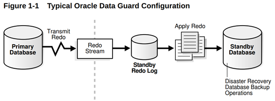 Oracle Data Guard 19c 概念_oracle19c data guard-CSDN博客