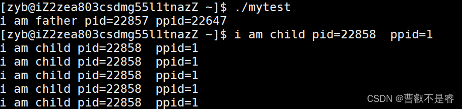Linux 进程的概念_linux ctrl z占用资源吗-CSDN博客