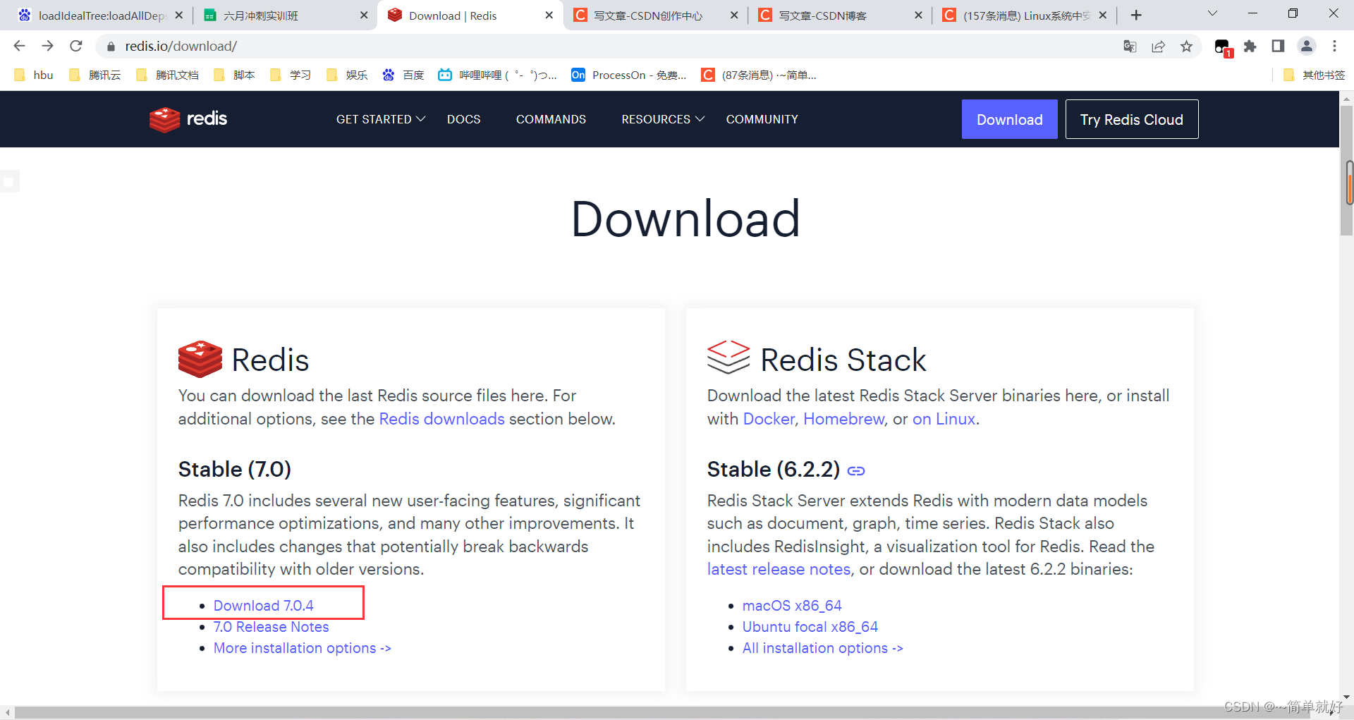 Linux系统中安装Redis-7.0.4_linux 安装redis7.0.4-CSDN博客