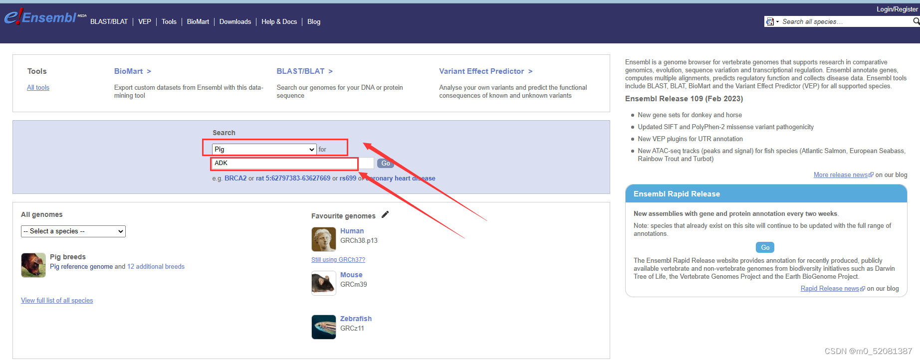 怎么在ensemble上下载某一基因带突变位点的序列_ensemble数据库-CSDN博客