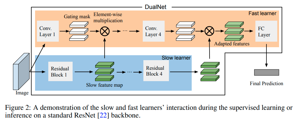 Raki的读paper小记：DualNet: Continual Learning, Fast and Slow-CSDN博客