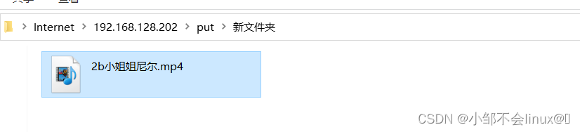 linux安装FTP详细教程-CSDN博客