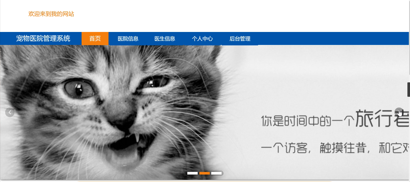基于java宠物医院管理系统设计实现源码lw部署文档讲解等 Csdn博客