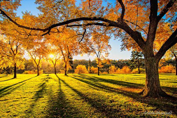 解析BMP格式图片_010editor中显示图片结构-CSDN博客