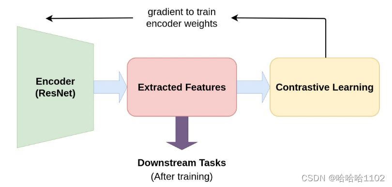 【自监督学习综述】A Survey on Contrastive Self-Supervised Learning-CSDN博客