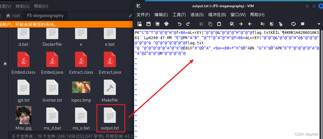 安装f5 Steganography和使用,及解决java环境版本报错问题 Csdn博客
