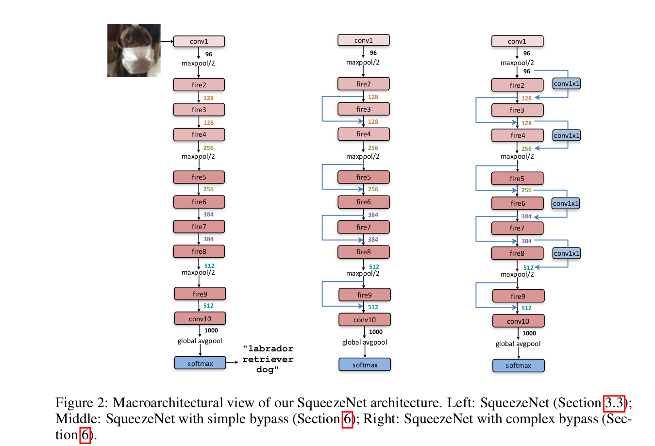 经典CNN结构之SqueezeNet(fire-module)_神经网络fire模块-CSDN博客