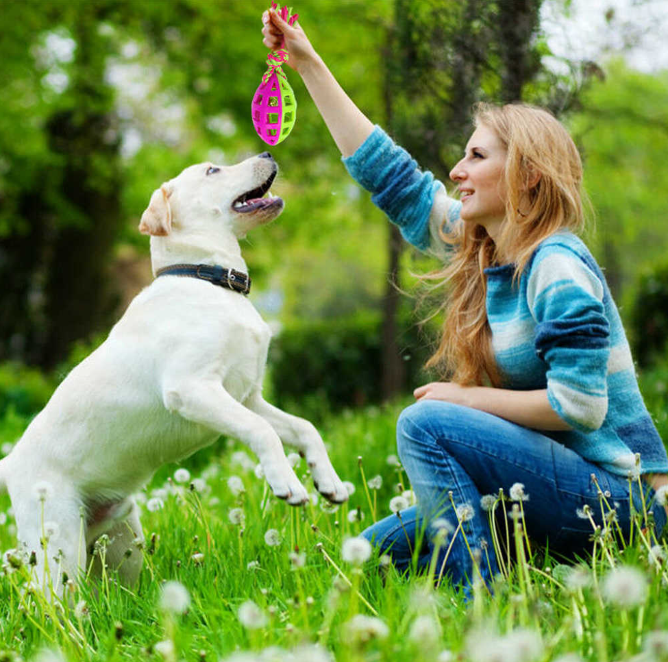 Java程序员学深度学习 DJL上手1_ai.djl中文文档-CSDN博客