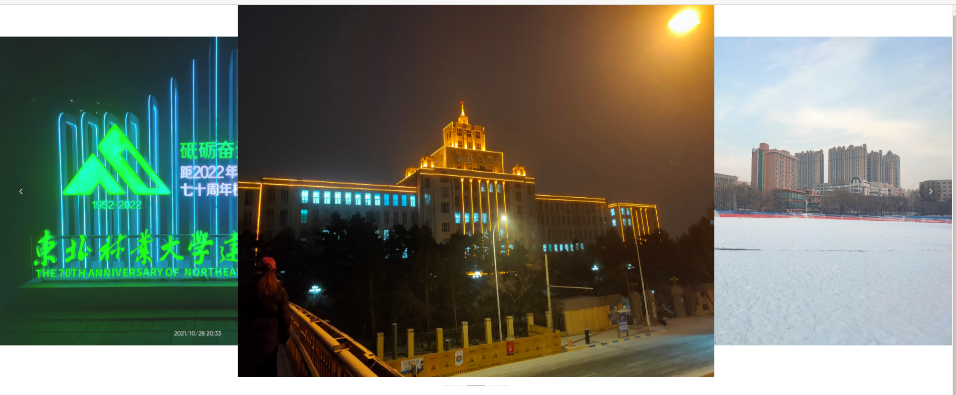 Vue中elementUI轮播图图片高度自适应_elemen 轮播高度-CSDN博客