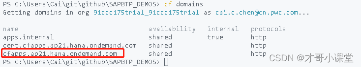 SAP BTP-Cloud foundry 构建并部署JAVA应用程序_sap btp 集成 java-CSDN博客