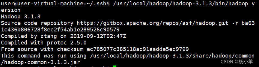 linux安装Hadoop-3.1.3-单机/伪分布（图文详细版）_hadoop3.1.3单机安装部署-CSDN博客