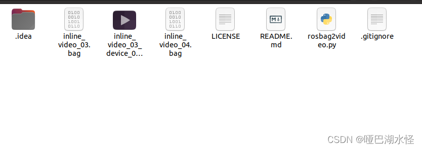 realsense相机记录的bag文件转为mp4(执行有效)_bag文件转mp4-CSDN博客