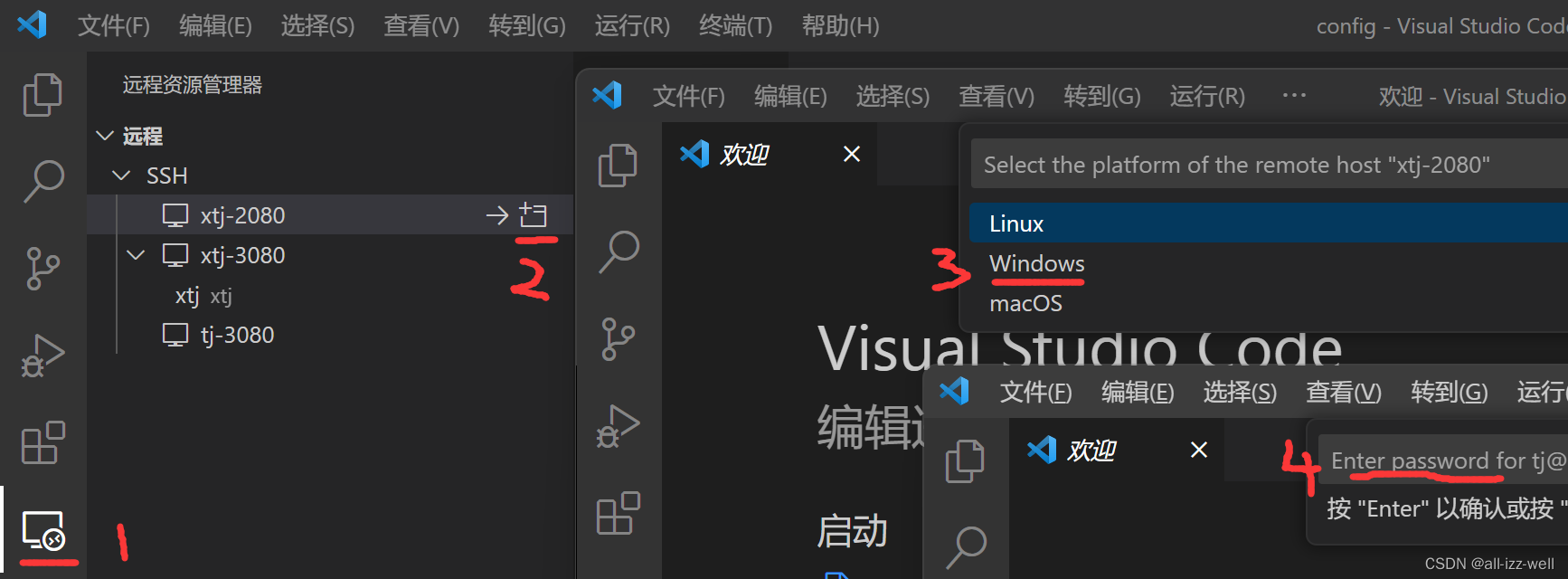 Visual Studio Code连接远程服务器连接ssh，并设置免密登录以及汉化_vs code ssh-CSDN博客