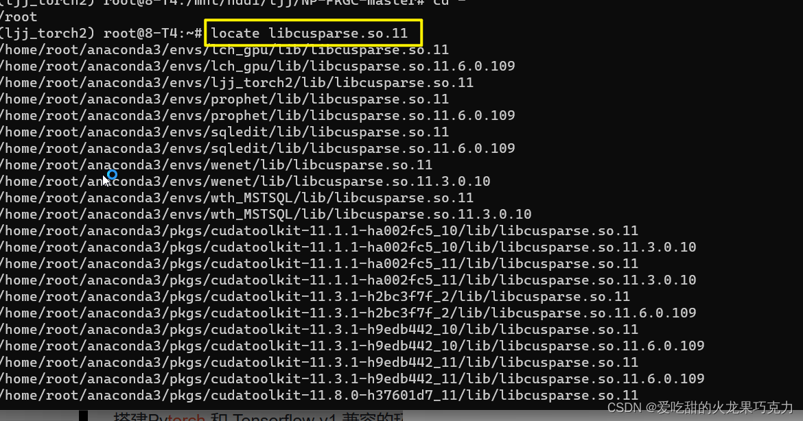 学校服务器安装cuda版本的pytorch+DGL（联网+上传）+安装apex；CUDA out；使用wandb；Error: lib；服务器安装torch_geom；miniconda的安装 ...
