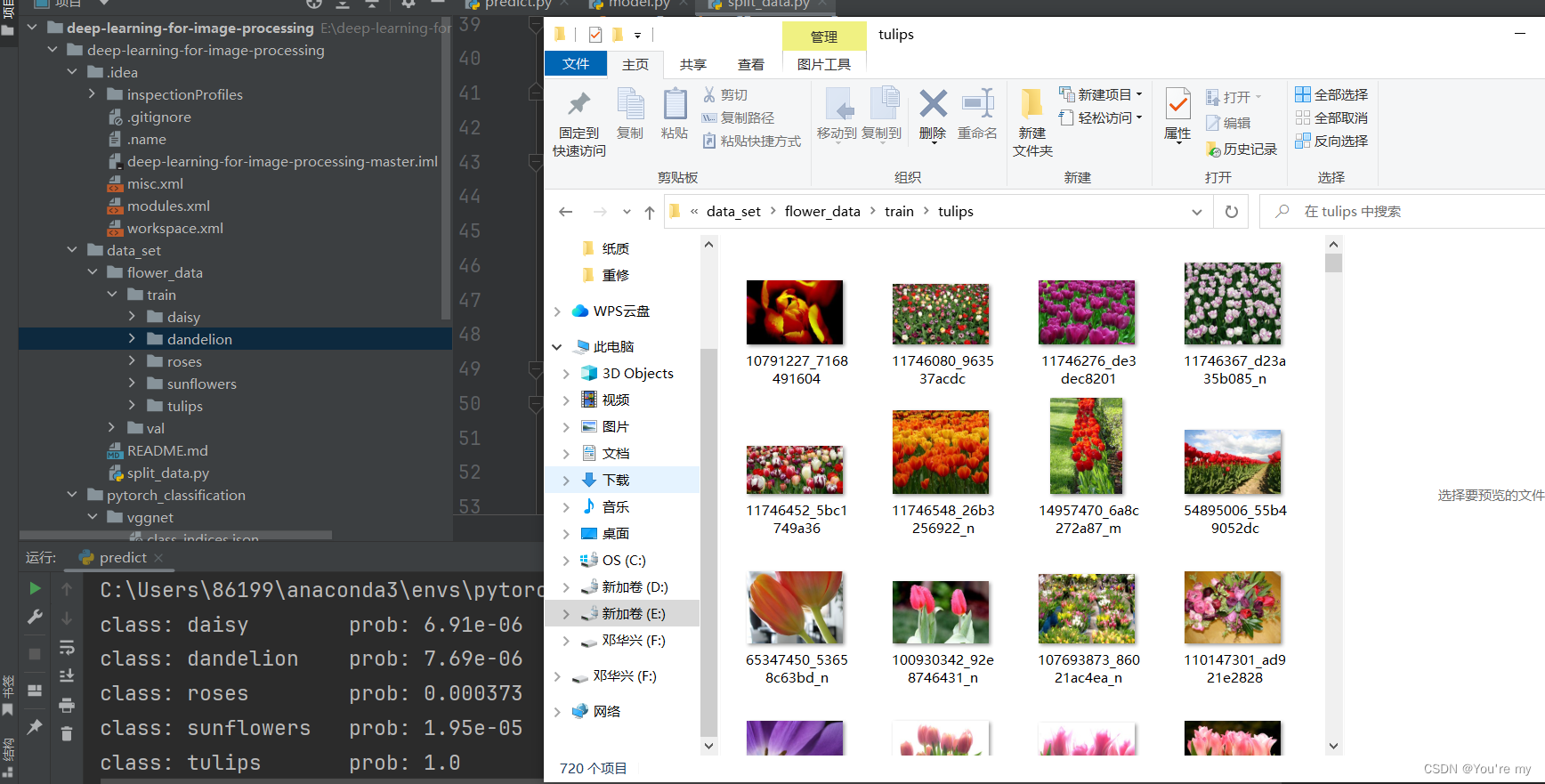 深度学习花的分类识别_深度学习花卉识别-CSDN博客