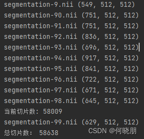 LITS数据集 总切片和单张Nii切片数目统计-CSDN博客