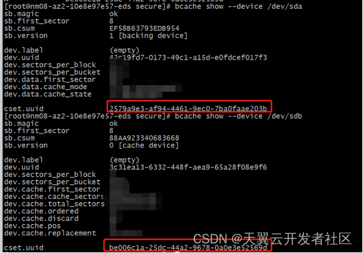 筑牢国产芯片软件生态，天翼云bcache解决方案来了！_bcache 盘片利用率100%-CSDN博客