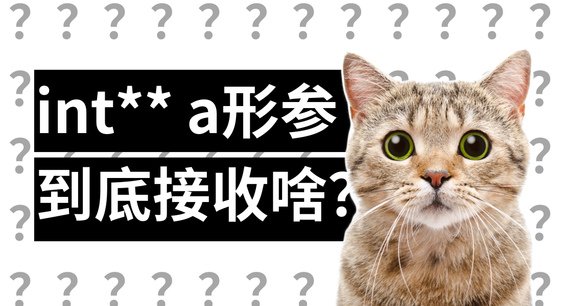 关于leetcode题目中形参《 Int Nums，int Nums》可以接收什么值？《指针问题》int类型的形参 Csdn博客