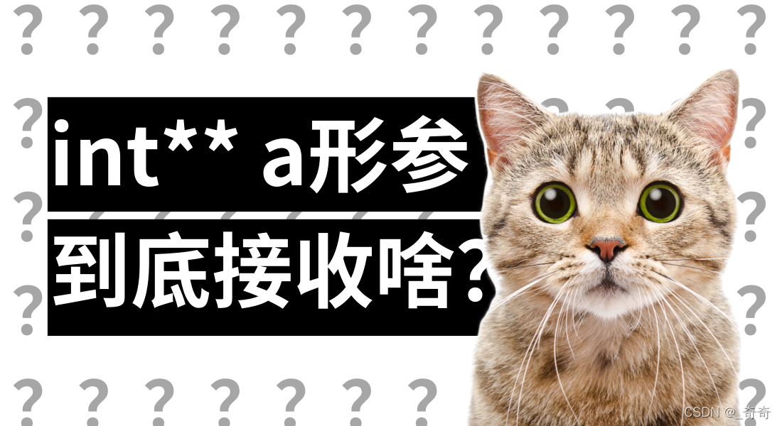 关于leetcode题目中形参《 Int Nums,int Nums》可以接收什么值?《指针问题》int类型的形参 Csdn博客