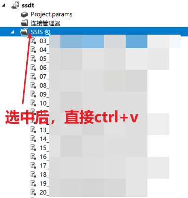VS2017 production package some problems (reverse sequence-of-replication variables, etc ...