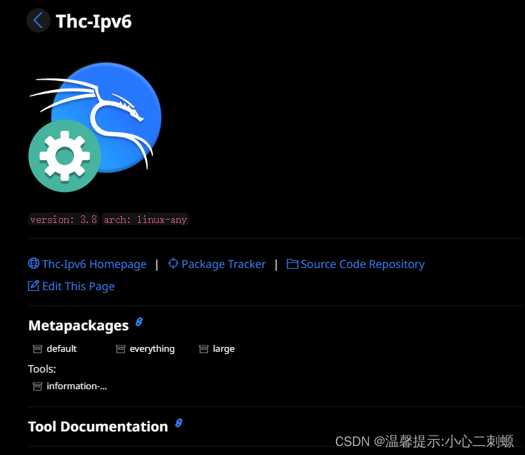 Thc-Ipv6 使用-CSDN博客